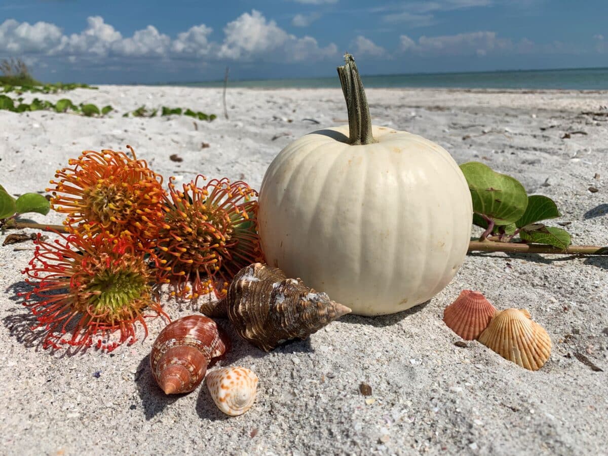 Last Minute Costume Ideas: Beach Themed! - Sundial Beach Resort & Spa ...